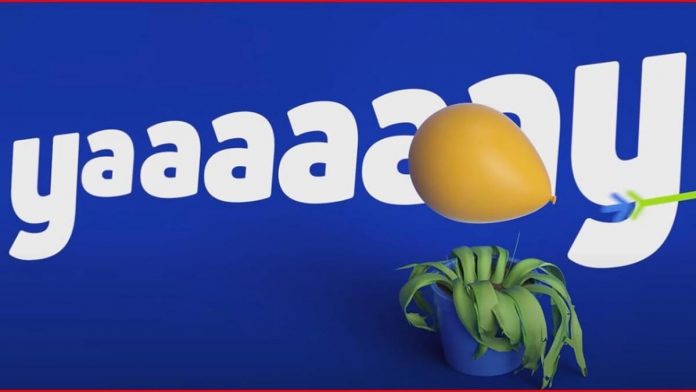 Yaay Nedir? Nasıl Kullanılır? - Cepkolik